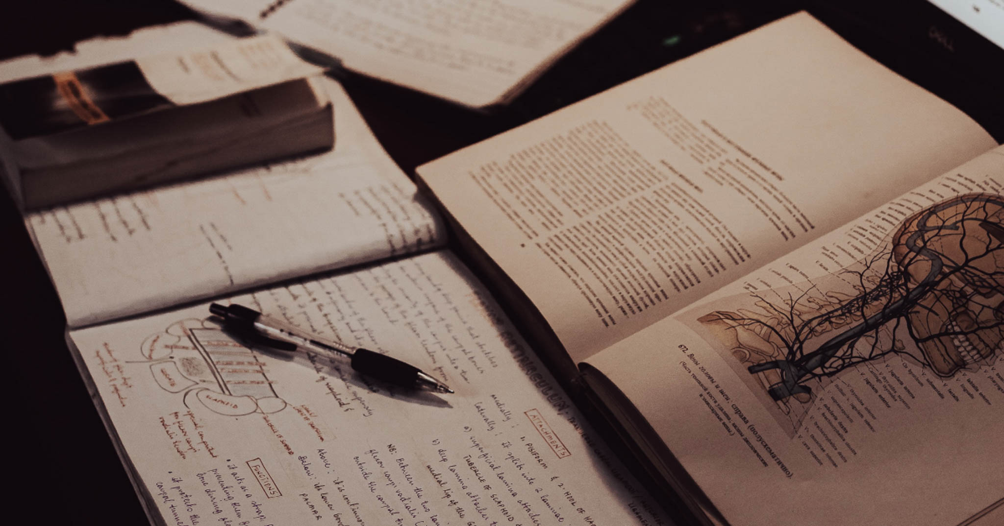 How to Become a Freelance Medical Editor | Knowadays