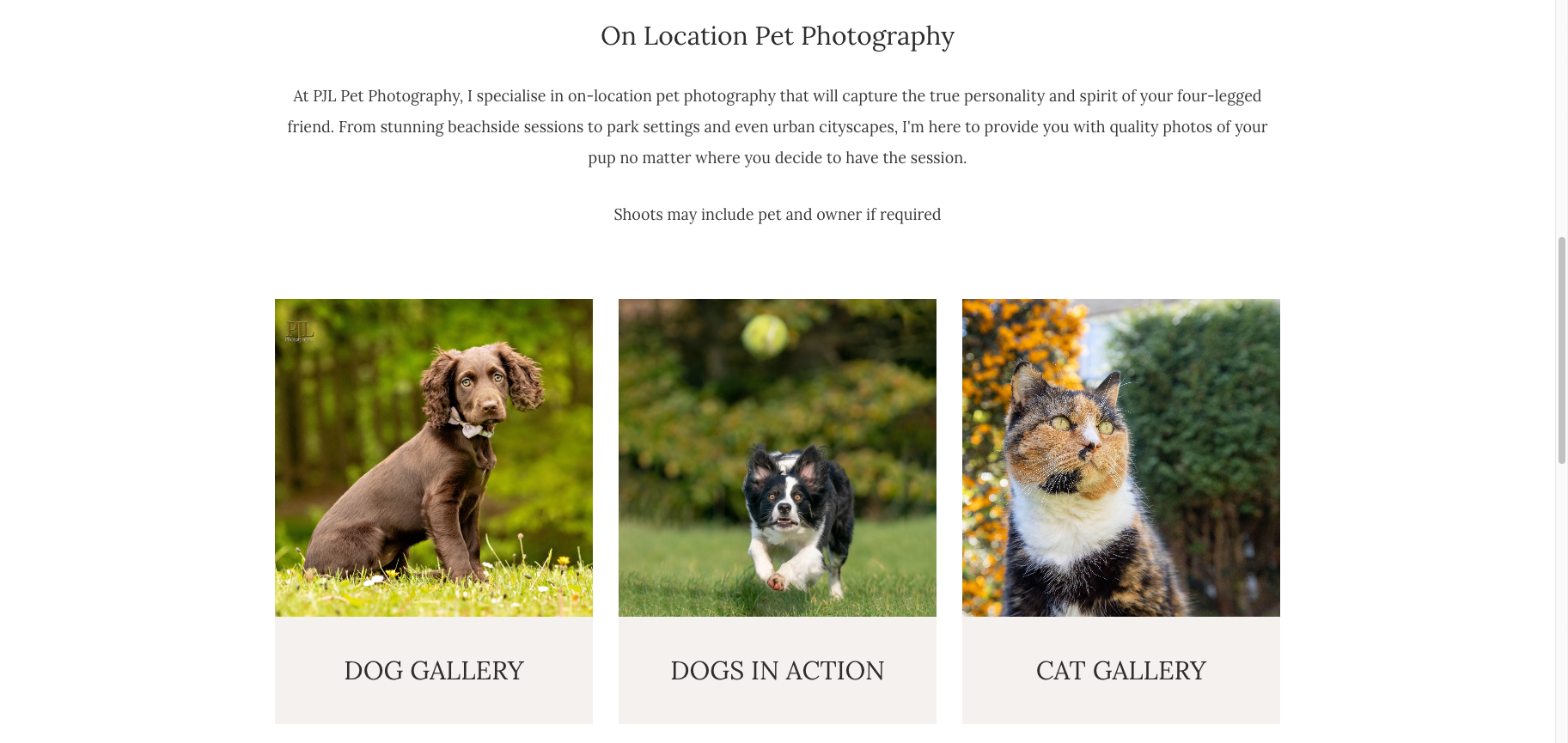 How to Create an Impressive Freelance Portfolio | Knowadays